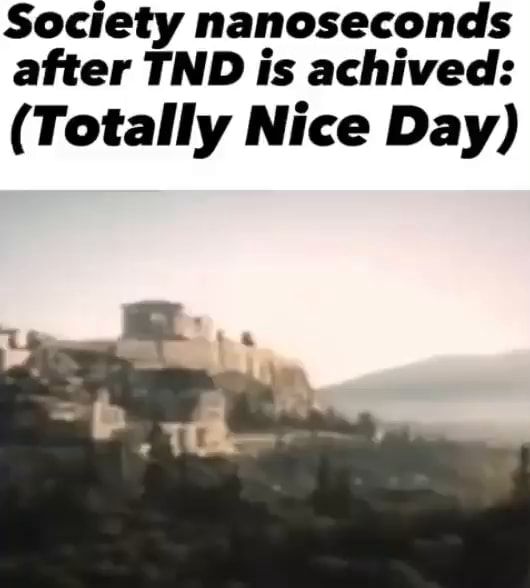 Society nanoseconds after TND is achived: (Totally Nice Day) - iFunny