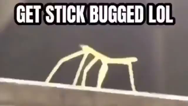 GET STICK BUGGED LOL - iFunny