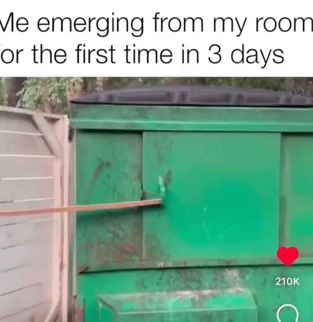 Vie emerging from my room or the first time in 3 days 210K - iFunny
