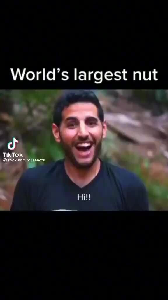 World's largest nut TikTok Hill - iFunny