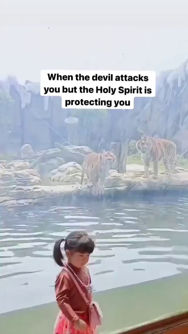 When the devil attacks you but the Holy Spirit is protecting you - iFunny
