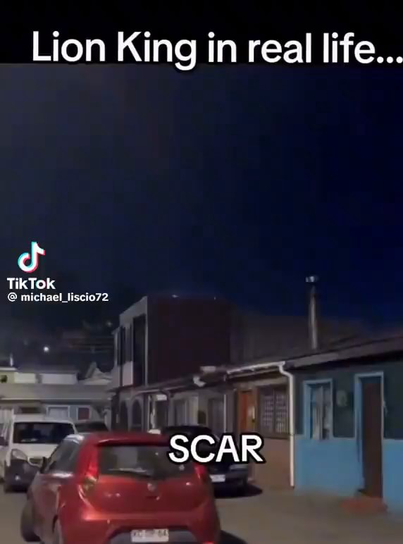 Lion King in real life... TikTok michael SCAR - iFunny