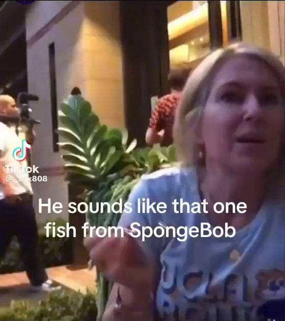 He sounds like that one fish from SpongeBob - iFunny