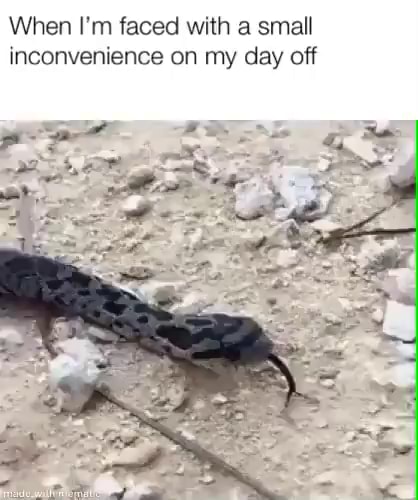 Oh nooooooo - When I'm faced with a small inconvenience on my day off ...