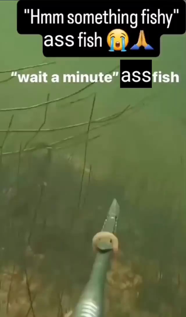 "wait minute" "Hmm something fishy ass fish aSS fish - iFunny