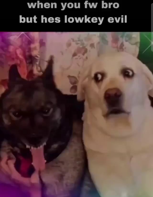 When you fw bro but hes lowkey evil - iFunny
