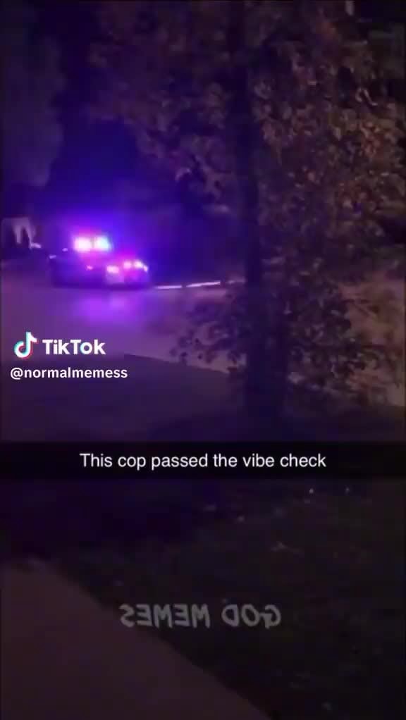 Normalmemess This Cop Passed The Vibe Check Eaman Gop Ifunny