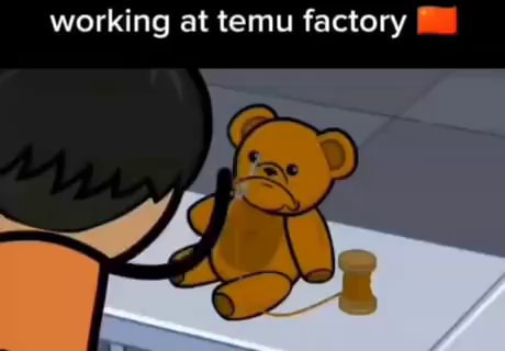 Working at temu factory - iFunny