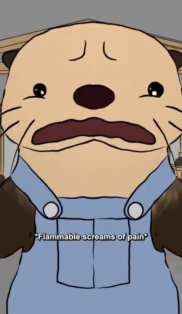 'Flammable screams of pain' - iFunny