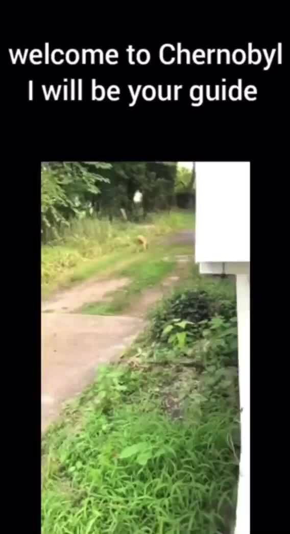Welcome to Chernobyl I will be your guide - iFunny