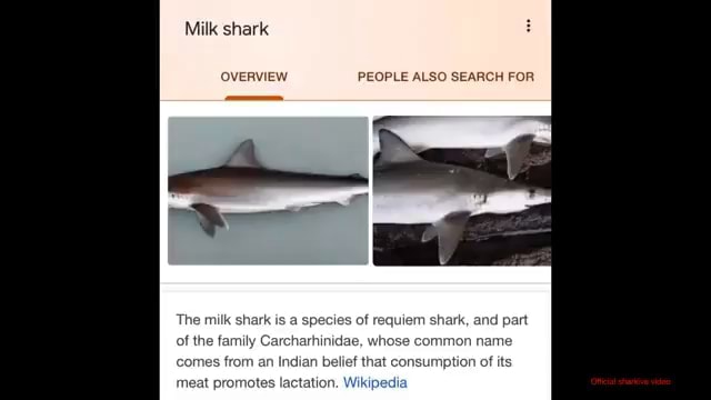 Milk shark The milk shark is a species of requiem shark, and part f the ...