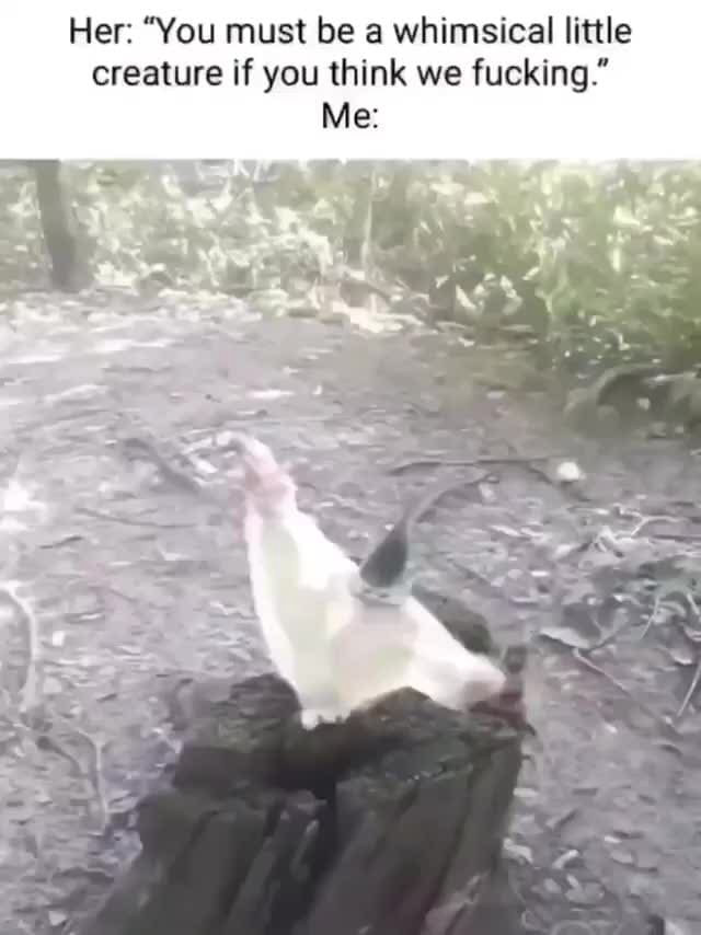 Her: "You must be a whimsical little creature if you think we fucking ...