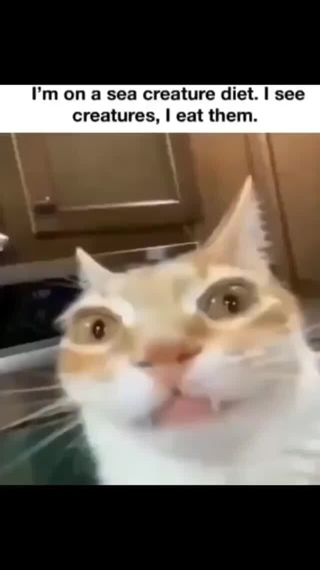 I'm on a sea creature diet. I see creatures, I eat them. - iFunny