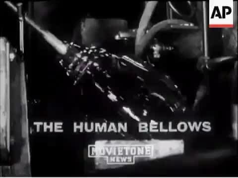 "NN we \THE HUMAN BELLOWS - iFunny