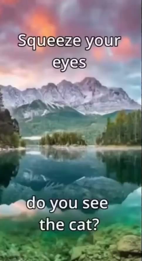 Squeeze your eyes do, you see the cat? - iFunny