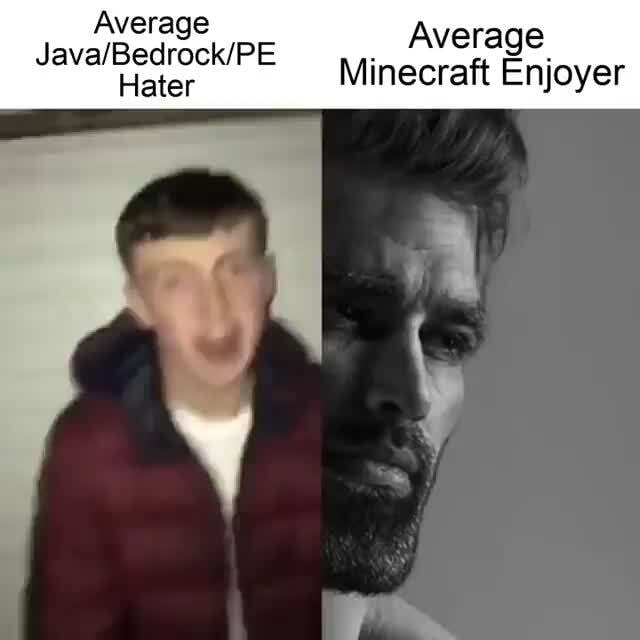 Average Average Minecraft Enjoyer - iFunny