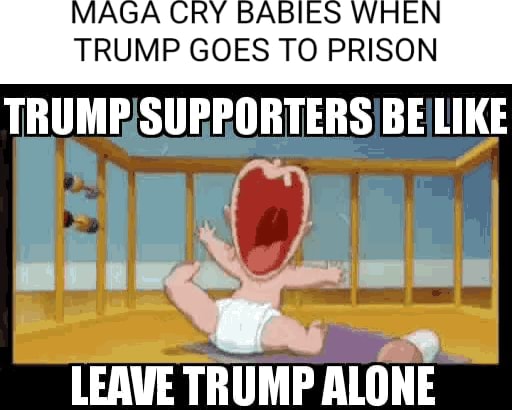 MAGA CRY BABIES WHEN TRUMP GOES TO PRISON LIKE LEAVE TRUMP ALONE ...