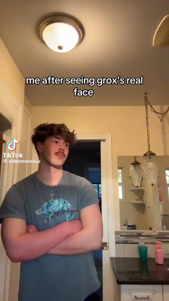 Me after seeing grox's real face TikTok - iFunny