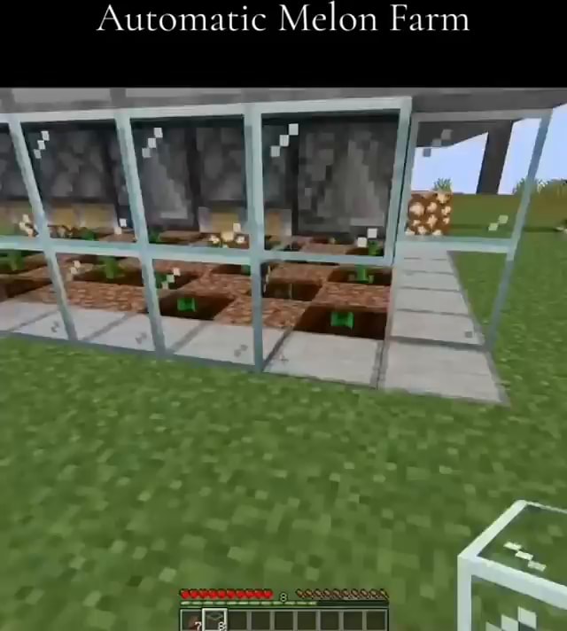 Automatic Melon Farm apps - iFunny