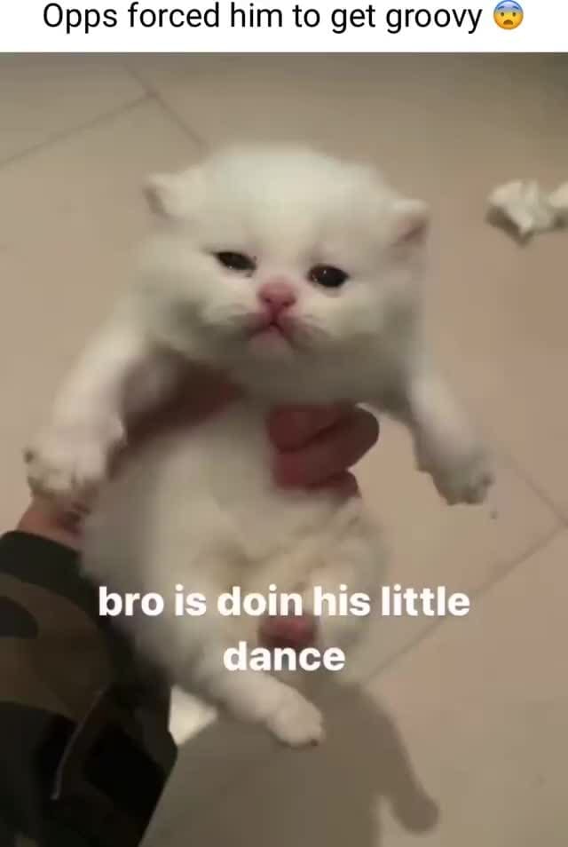 Opps forced him to get groovy bro is doin his little dance - iFunny