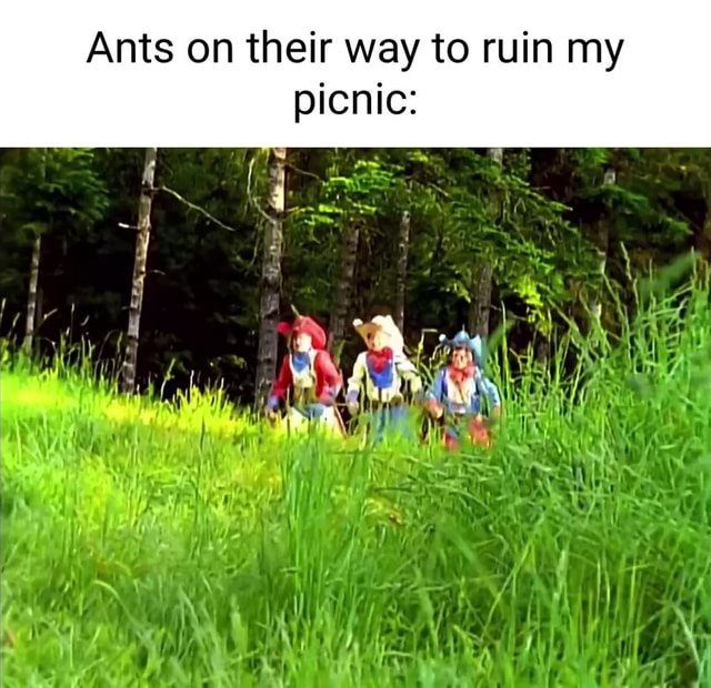 Ants on their way to ruin my picnic: NA - iFunny