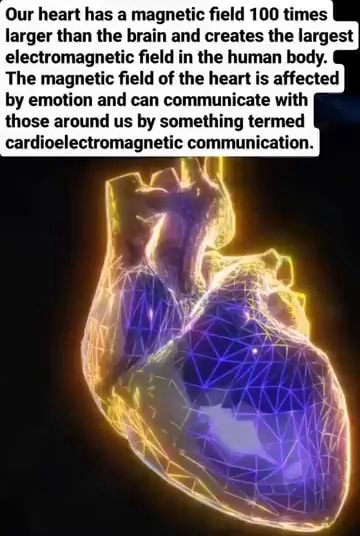 Our heart has a magnetic field 100 times larger than the brain and ...