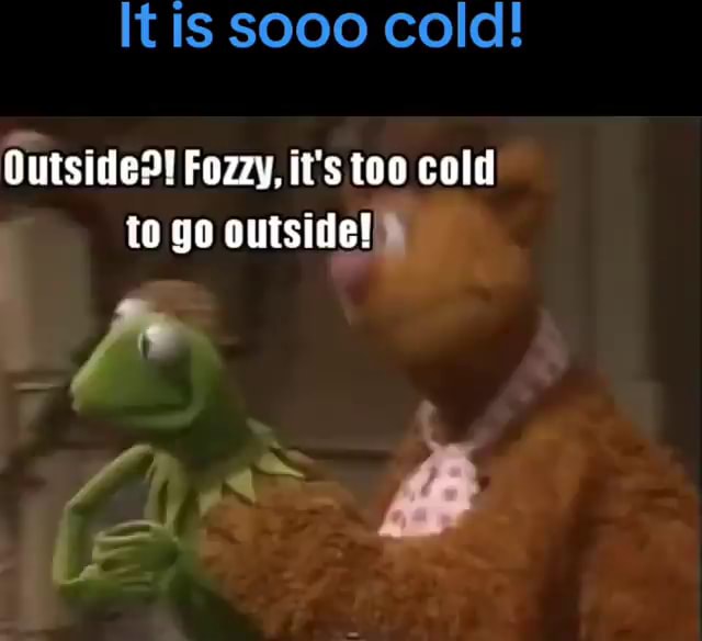 It is sooo cold! Outside?! Fozzy, it's too cold to go outside! ix - iFunny
