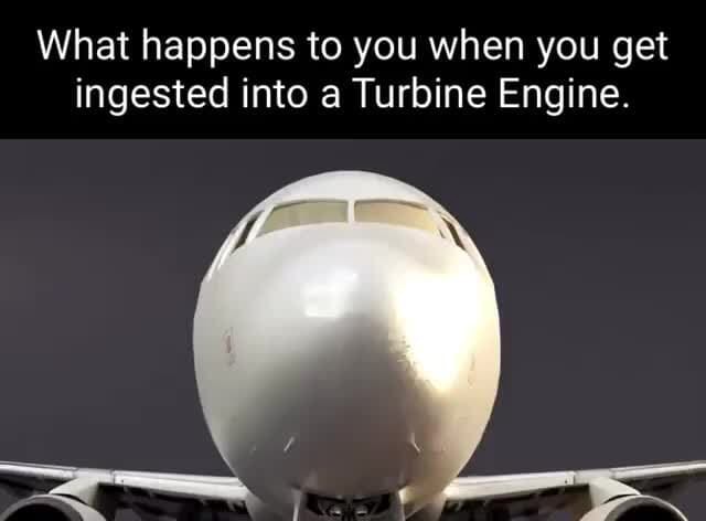 What happens to you when you get ingested into a Turbine Engine. - iFunny