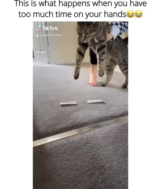 This is what happens when you have too much time on your hands=:& ER I ...