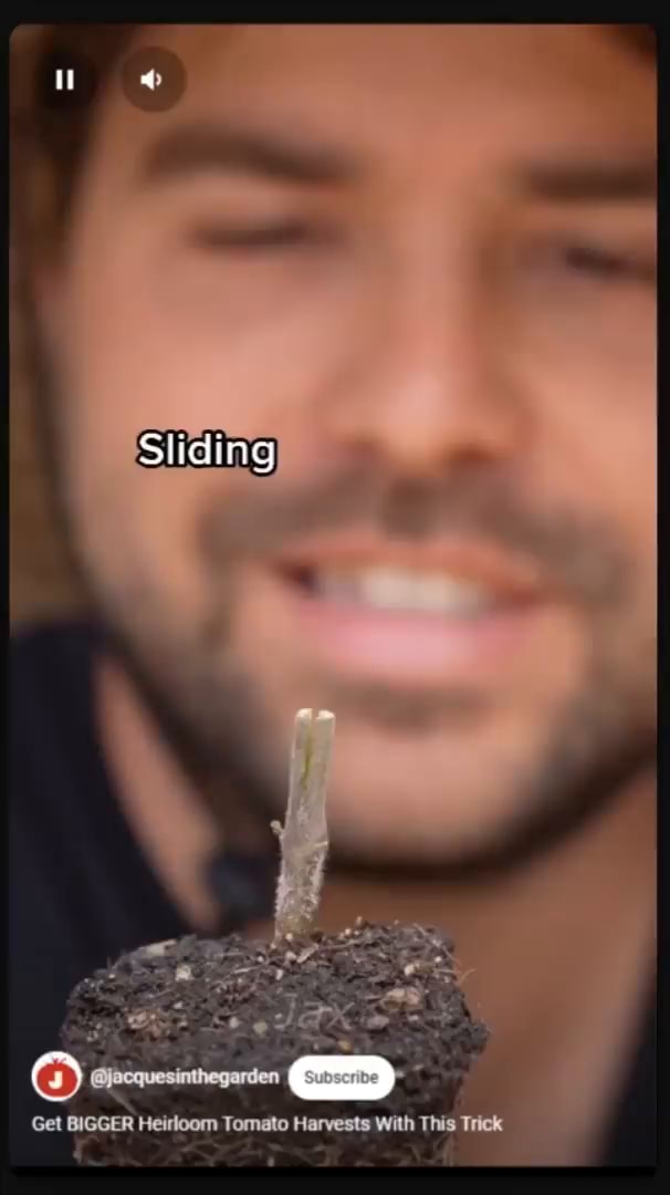 Sliding Gel EGER Temalo Harvests Wilh This - iFunny