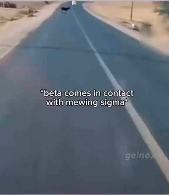 *beta comes in contact with mewing sigma? - iFunny