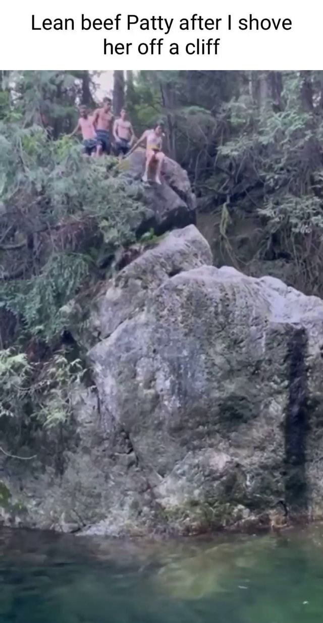 Lean beef Patty after I shove her off a cliff - iFunny