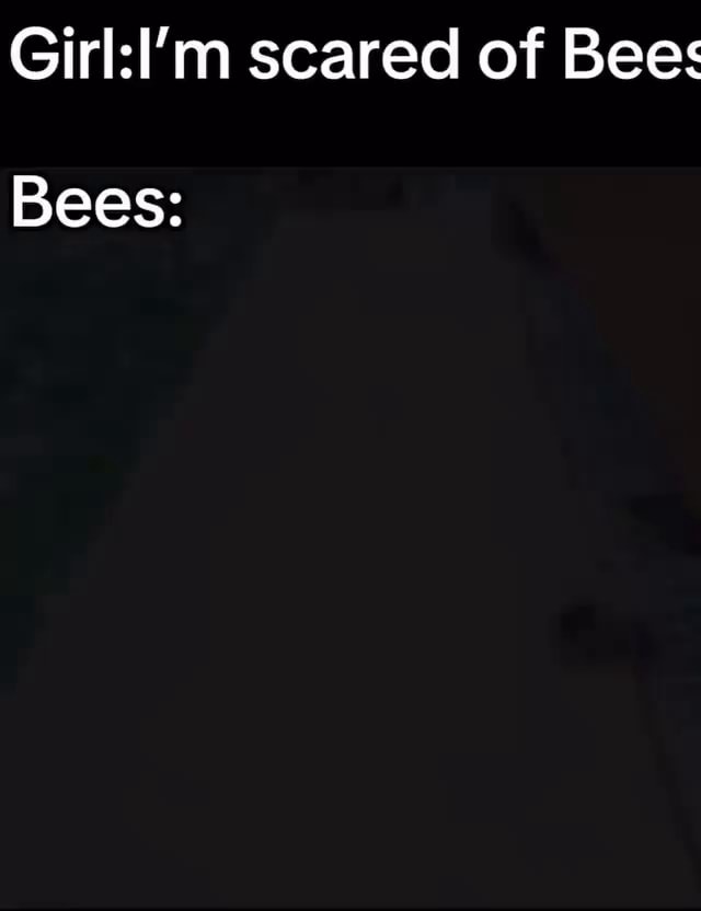 Scared of Bee: Bees: - iFunny