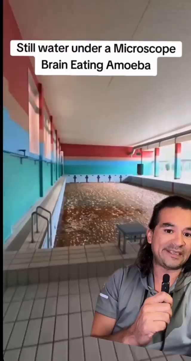 Still water under a Microscope Brain Eating Amoeba - iFunny