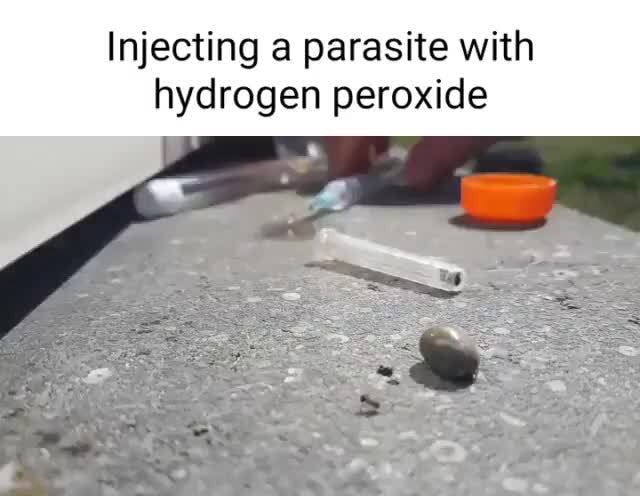 Injecting a parasite with hydrogen peroxide - iFunny