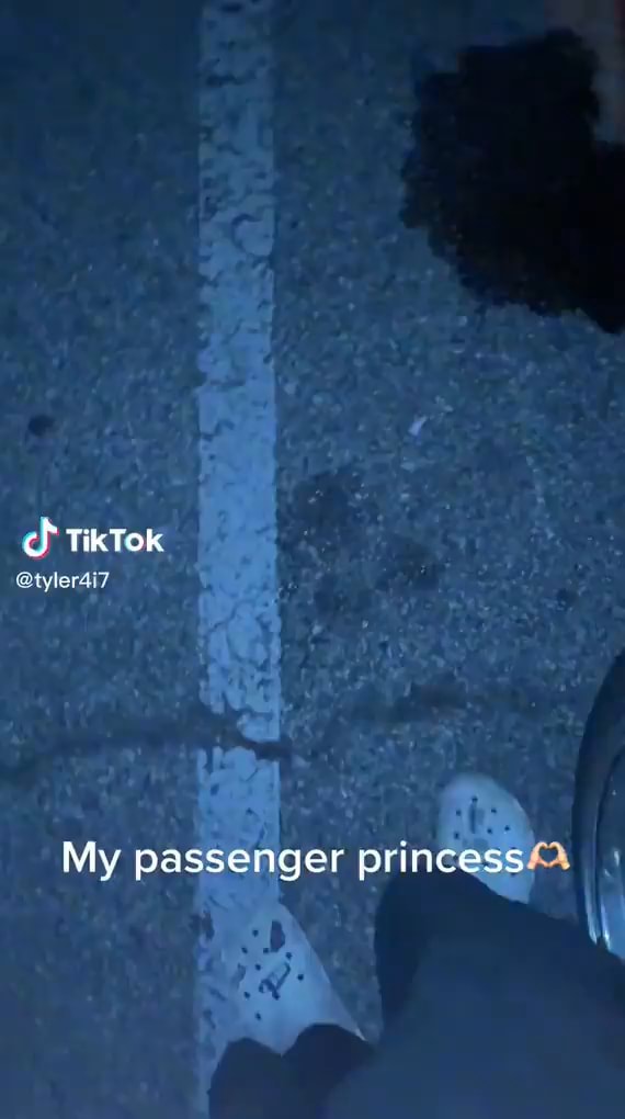 Ch TikTok My passenger princess - iFunny