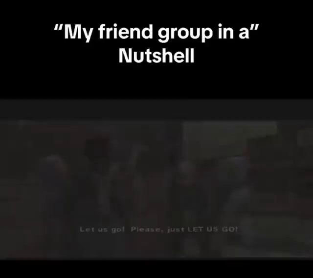 "My friend group in a" Nutshell - iFunny