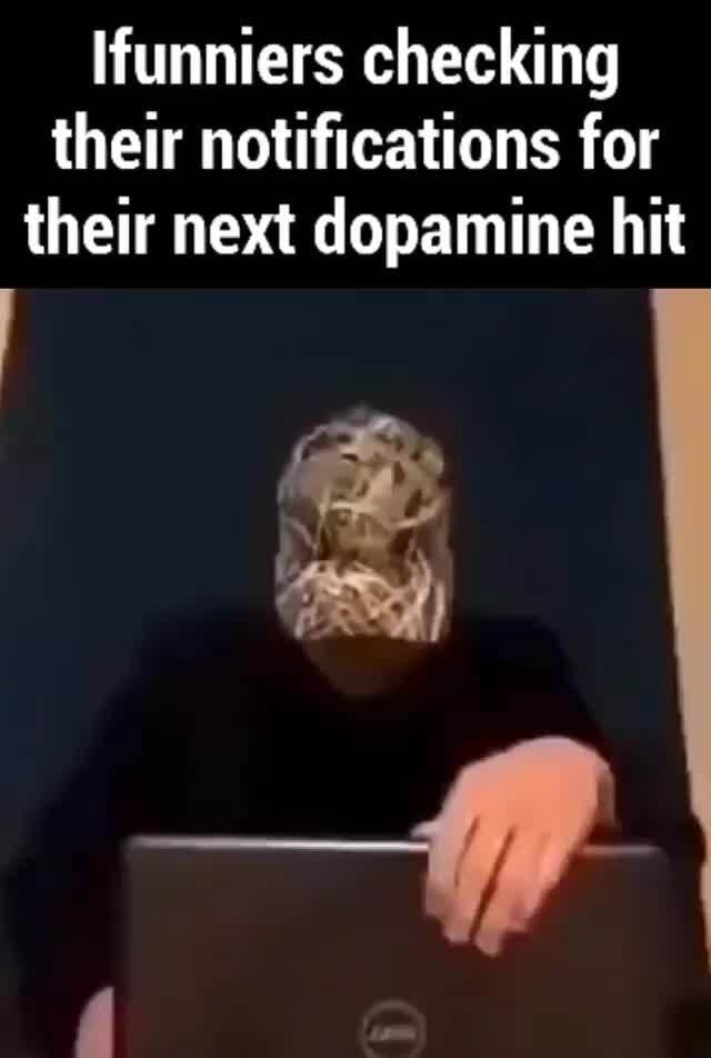 Ifunniers checking their notifications for their next dopamine hit - iFunny