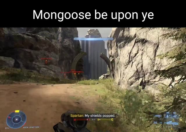 Mongoose be upon ye tan: My shields popped. ROCK JUNCTION - iFunny