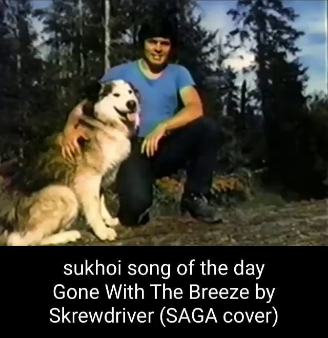 Sukhoi song of the day Gone With The Breeze by Skrewdriver (SAGA cover ...