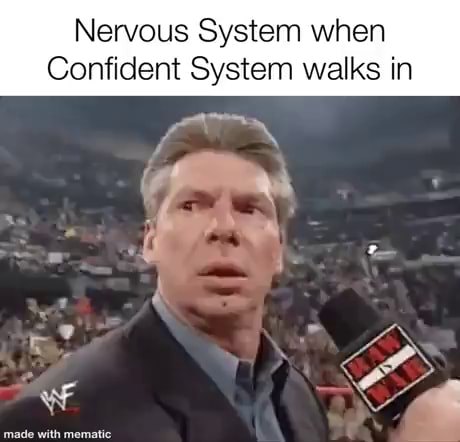 Nervous System when Confident System walks in - iFunny