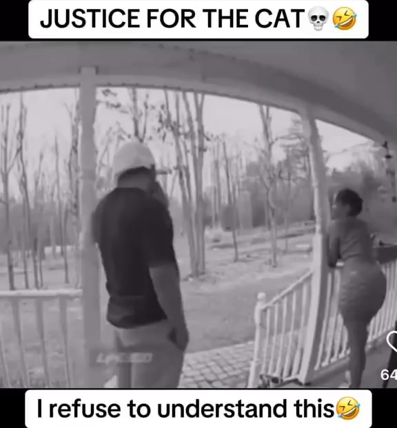 JUSTICE FOR THE CAT I refuse to understand this I - iFunny