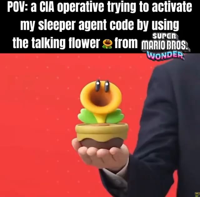 POV: a CIA operative trying to activate my sleeper agent code by using ...