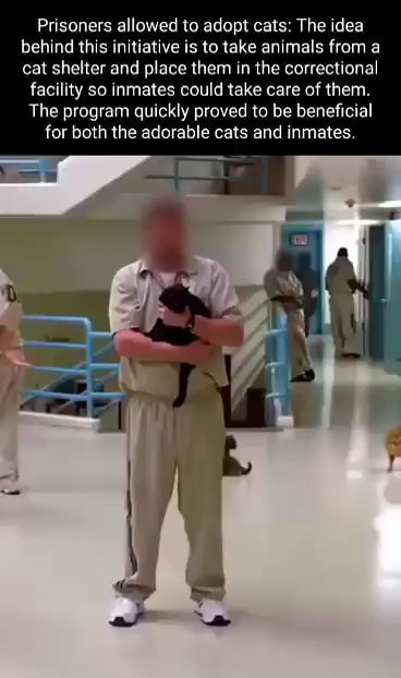 Prisoners allowed to adopt cats: The idea behind this initiative is to ...