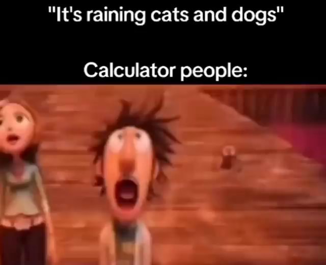 "It's raining cats and dogs" Calculator people: - iFunny
