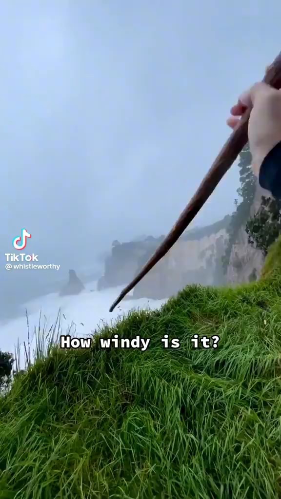 TikTok How windy is it? . - iFunny
