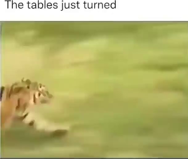 The tables just turned - iFunny