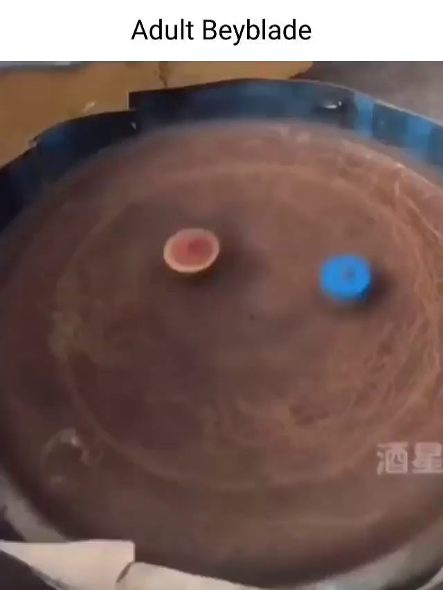 Adult Beyblade - iFunny