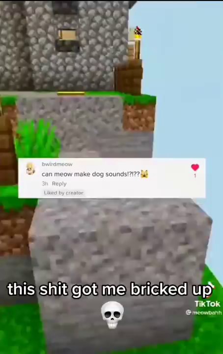 Can meow make dog this shit got me bricked up TikTok @meowbann - iFunny