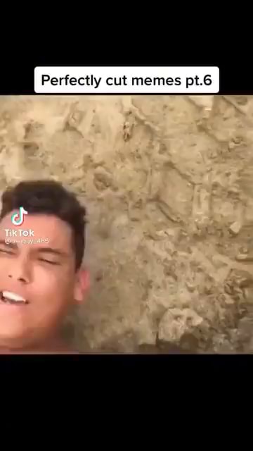 Perfectly cut memes pt. - iFunny